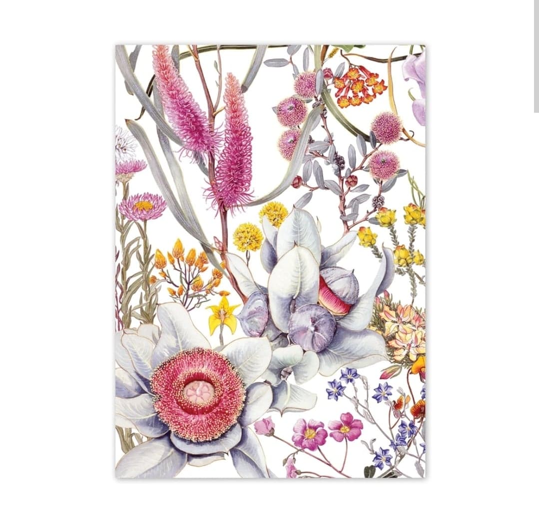 Card - Botanical Art Card – The Wild Rose Florist